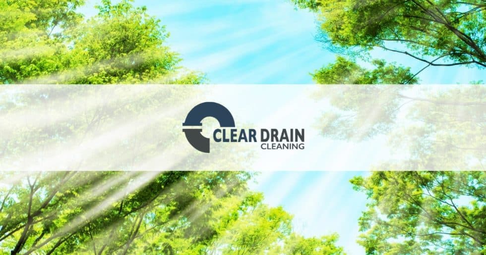 3 Reasons Your Sewer Pipes Clog in Summer - Clear Drain Cleaning